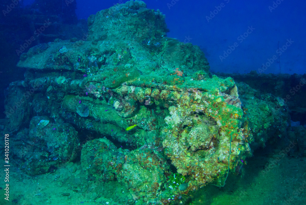 A Japanese battle tank on the sunken Nippo Maru in Chuuk Lagoon. The ...