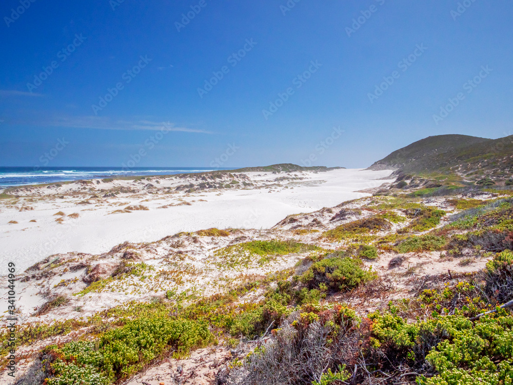 South African beach life landscape with white sand and awesome ...