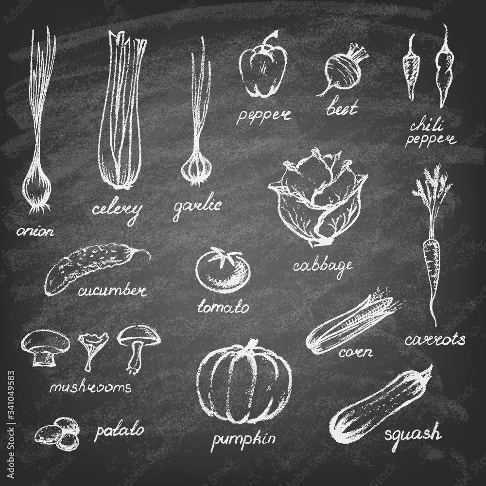 Collection of hand-drawn vegetables on chalkboard. Vector illustration ...
