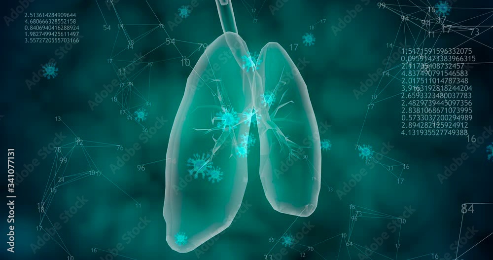 Rotating 360 low polygonal lungs 3D model with coronavirus cells and ...