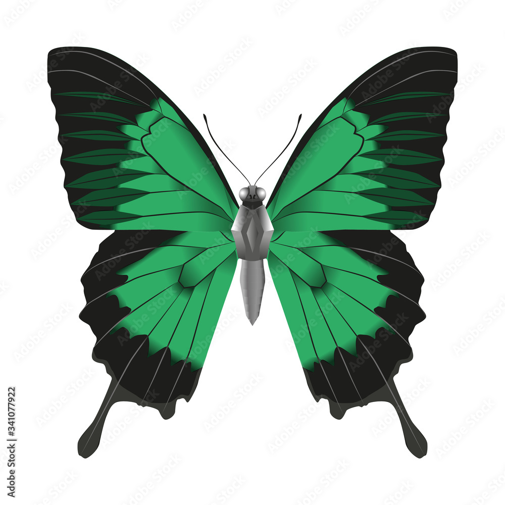 Beautiful bright green butterfly. Vector illustration isolated on a ...