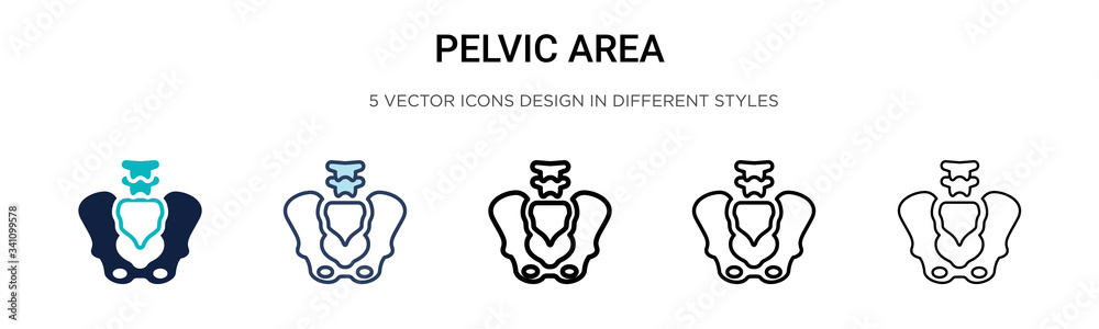 Pelvic area icon in filled, thin line, outline and stroke style. Vector ...
