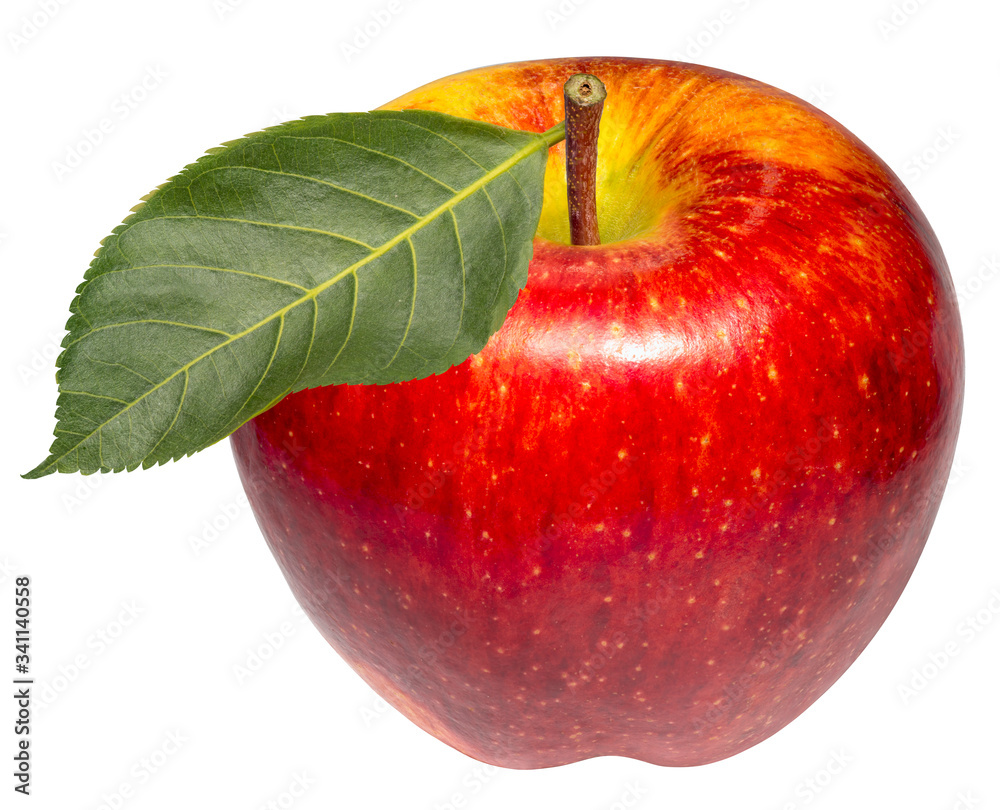 Red Envy Apple isolated on white background, Scilate apple that cross ...
