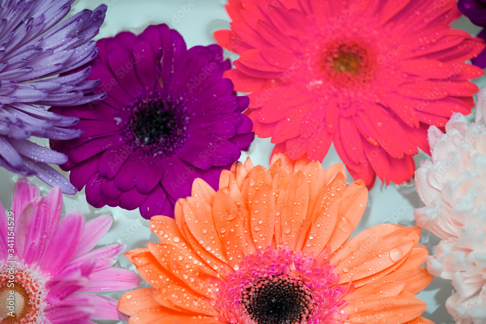 Colorful flowers floating on water Stock Photo | Adobe Stock