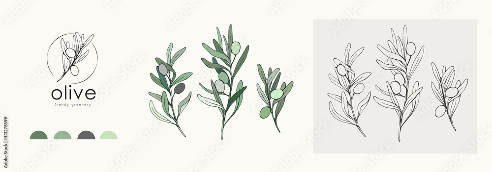 Olive logo and branch. Hand drawn wedding herb, plant and monogram with ...