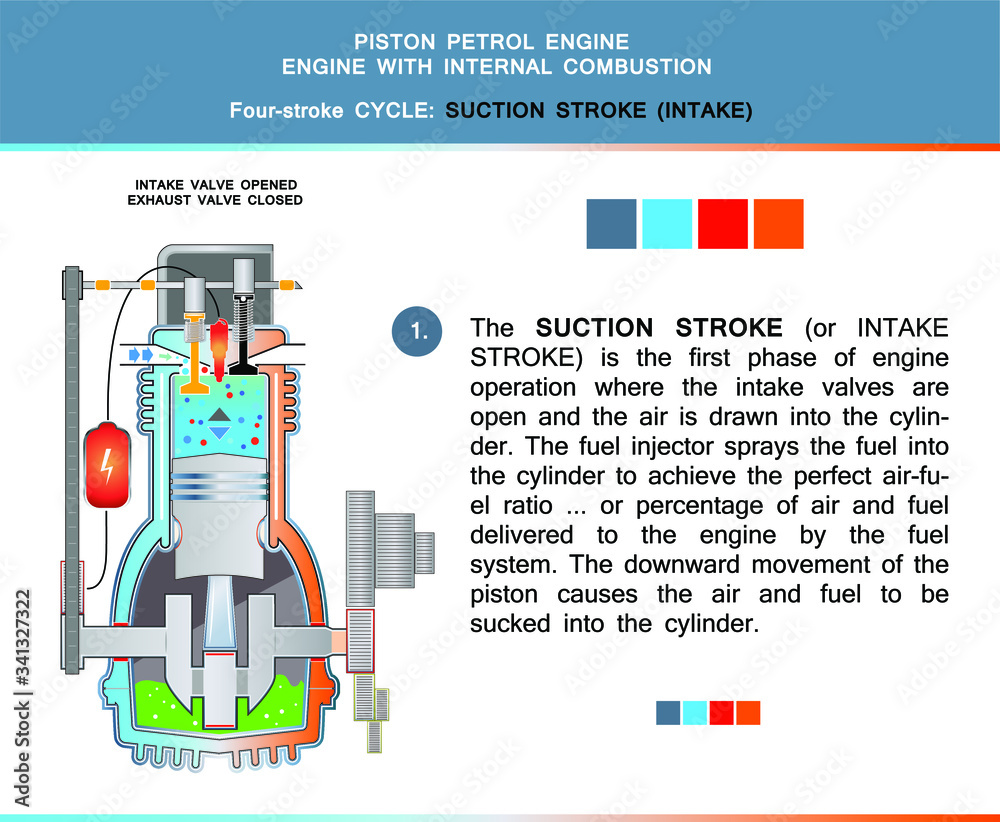 Piston engine four stroke cycle in structural cross section for ...