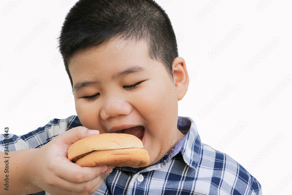 Fat boy eating a hamburger on isolated white background Stock Photo ...