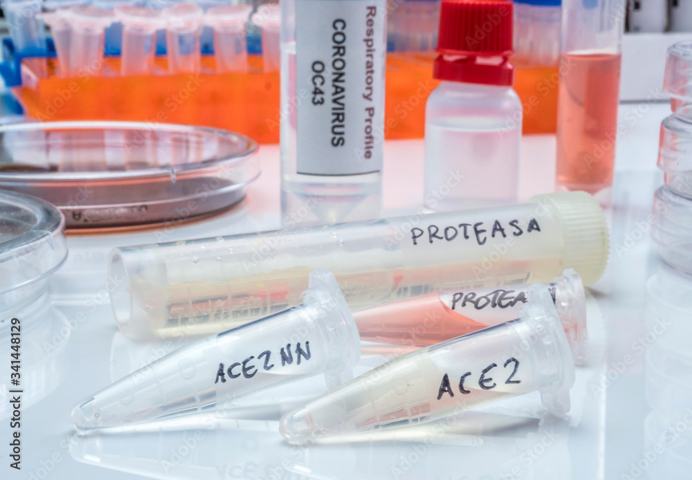 Several vials with soluble protease proteins for activation of the ...