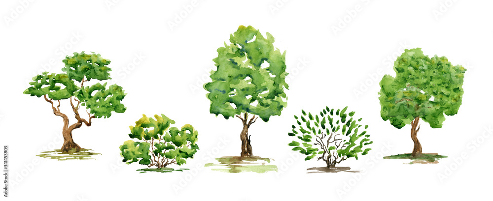 Watercolor summer trees, bush. Set of hand drawn green plants ...