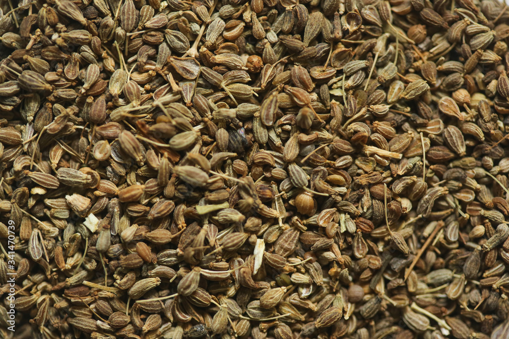 Erva-doce é uma planta medicinal utilizada contra os problemas ...