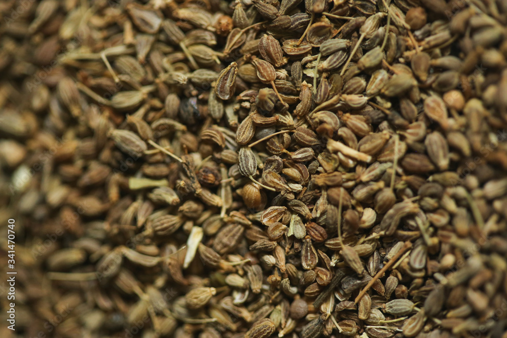 Erva-doce é uma planta medicinal utilizada contra os problemas ...