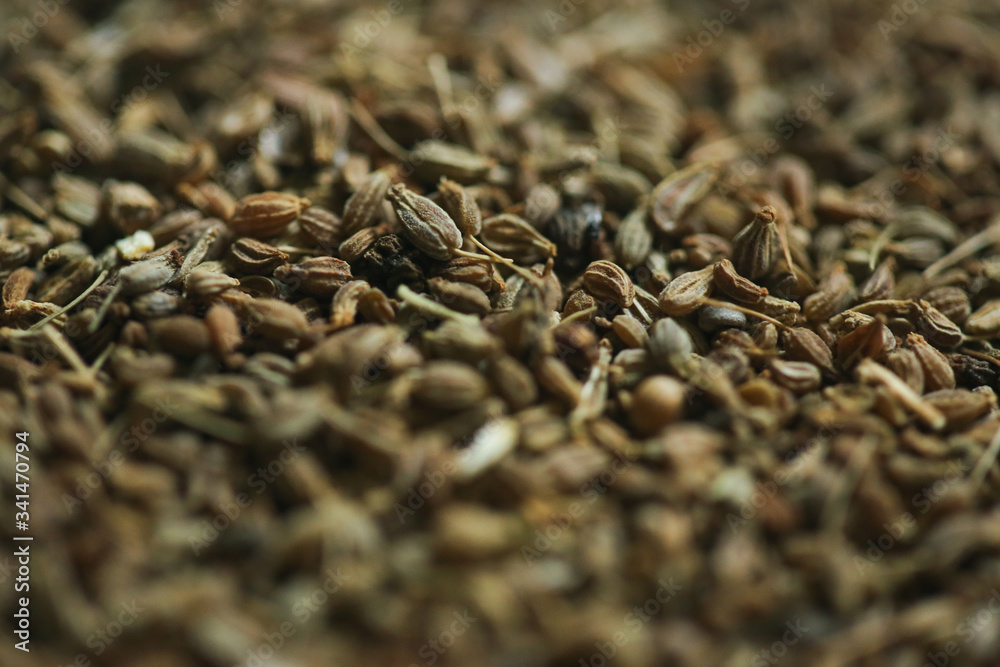 Erva-doce é uma planta medicinal utilizada contra os problemas ...