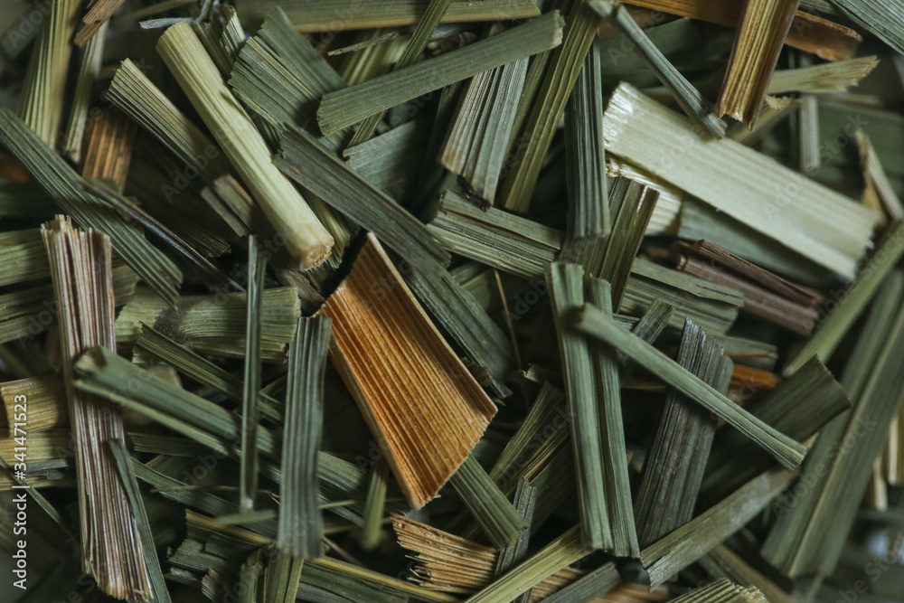 Erva-Príncipe (Portugal) também conhecido por Capim Santo ou Capim ...