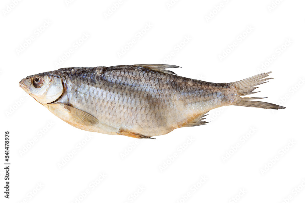 one dried fish on a white background for your menu design or bar ...