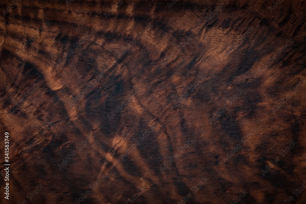 Walnut natural texture, texture elements, texture background. wood ...