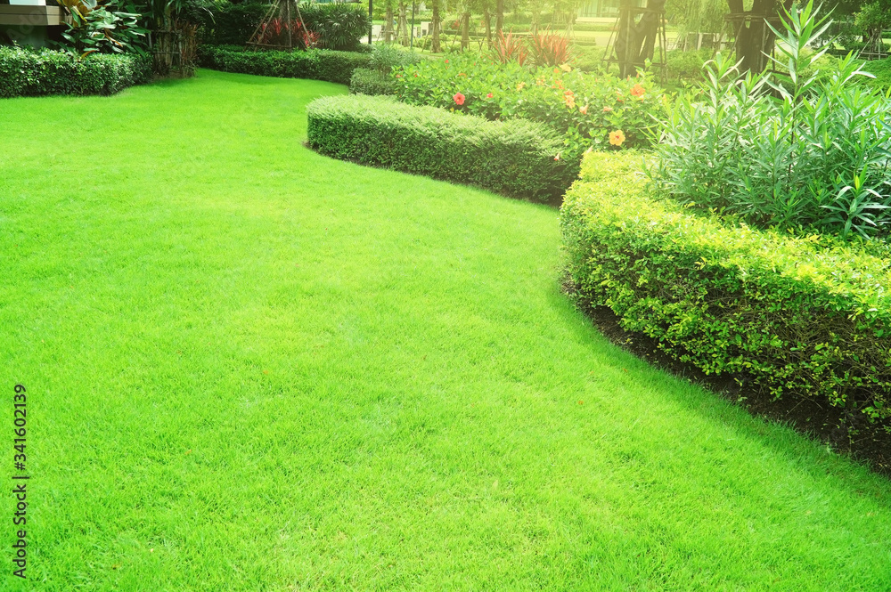 Garden with fresh green grass both shrub and flower front lawn ...