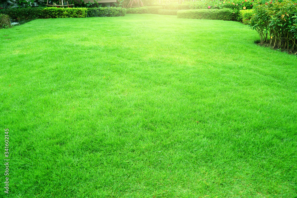 Garden with fresh green grass both shrub and flower front lawn ...