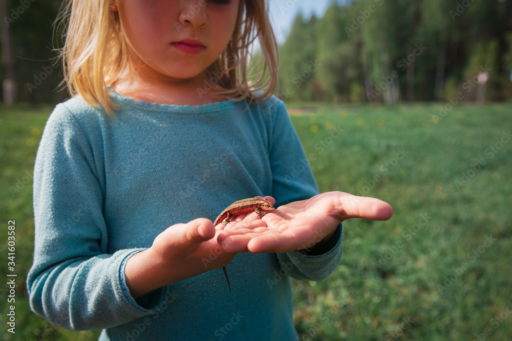 little girl holding and exploring lizard in nature Stock Photo | Adobe ...