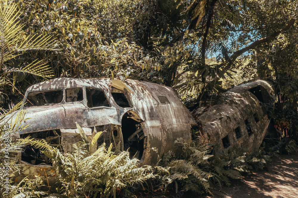 Plane crash in Australian jungle. Old rusty abandoned airplane wreckage ...