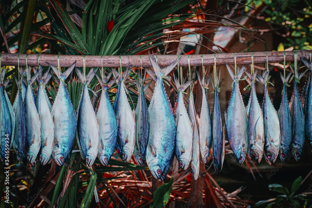 The salted fish hanging up to dry on the beach with blue sky background ...