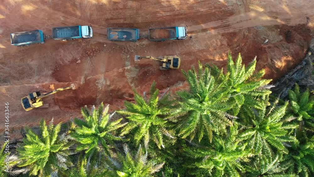 Deforestation and construction. Excavators and trucks loading soil at ...