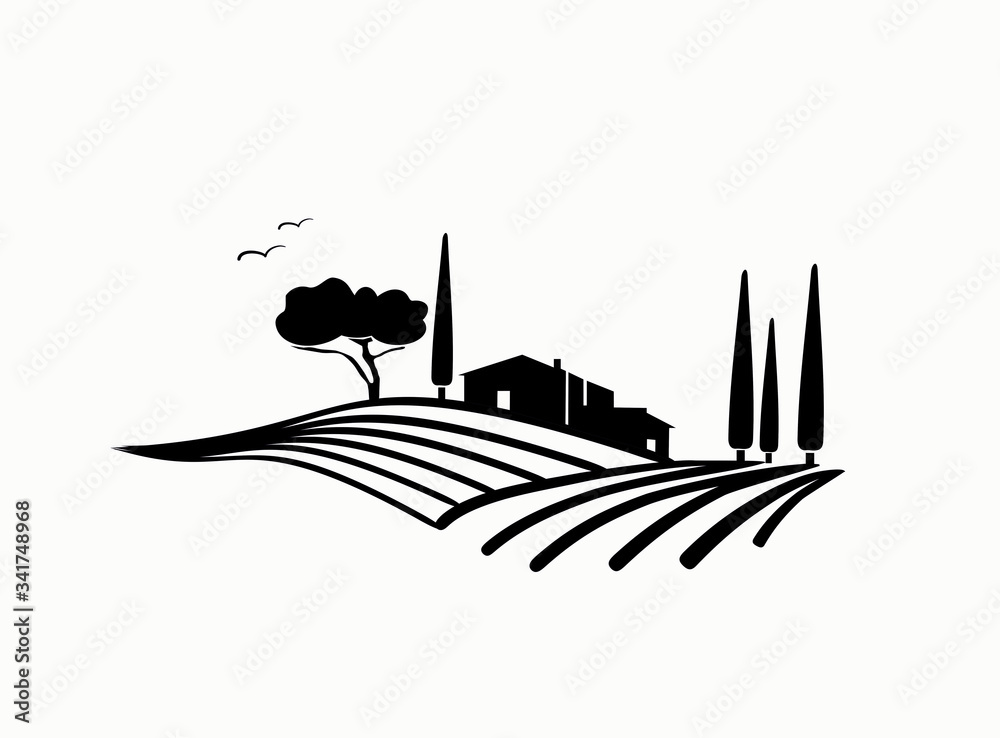 vineyard vector illustration rural landscape Stock Vector | Adobe Stock