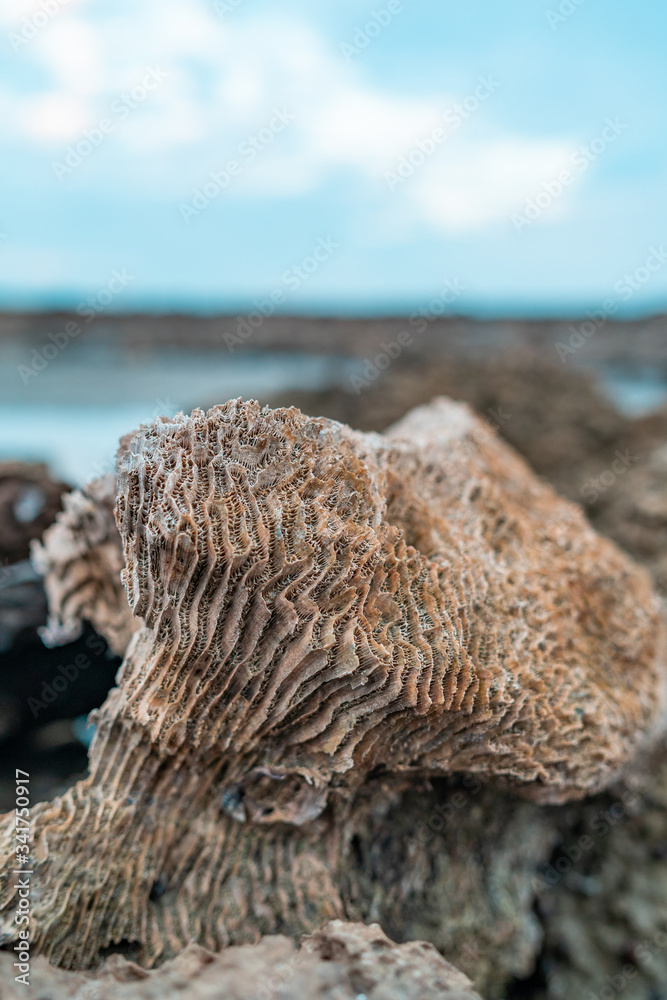 Different type of rocks and earth object of chera dip, St. Martins ...