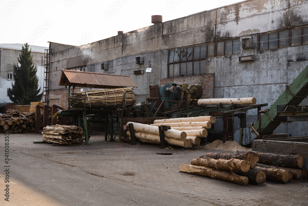 Bark removal from large logs on sawmill. Preparation of the wooden logs ...