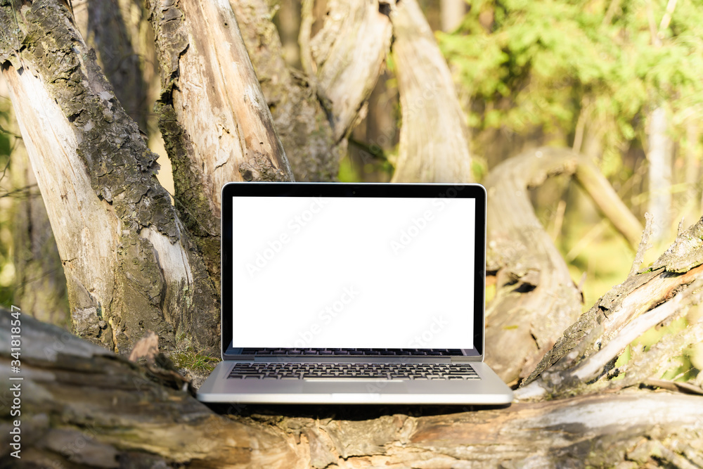 Laptop outside concept. Empty copy space, blank screen mockup. Soft ...