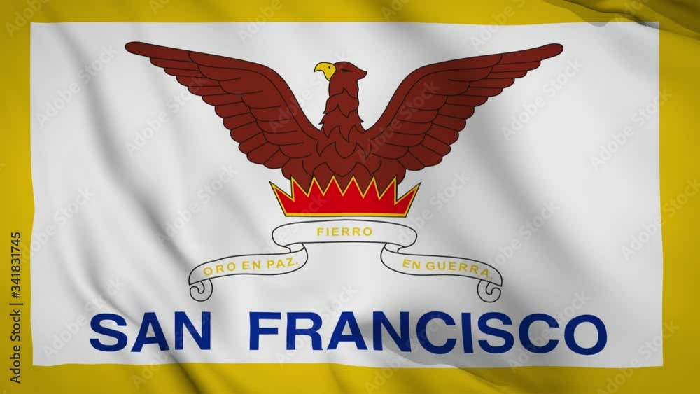san francisco flag is waving 3D animation. san francisco state flag ...