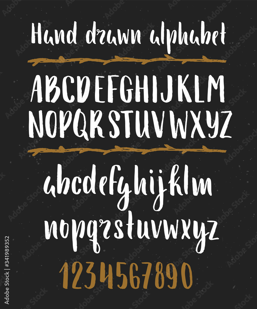 Vector alphabet. Hand drawn letters. Letters of the alphabet written ...