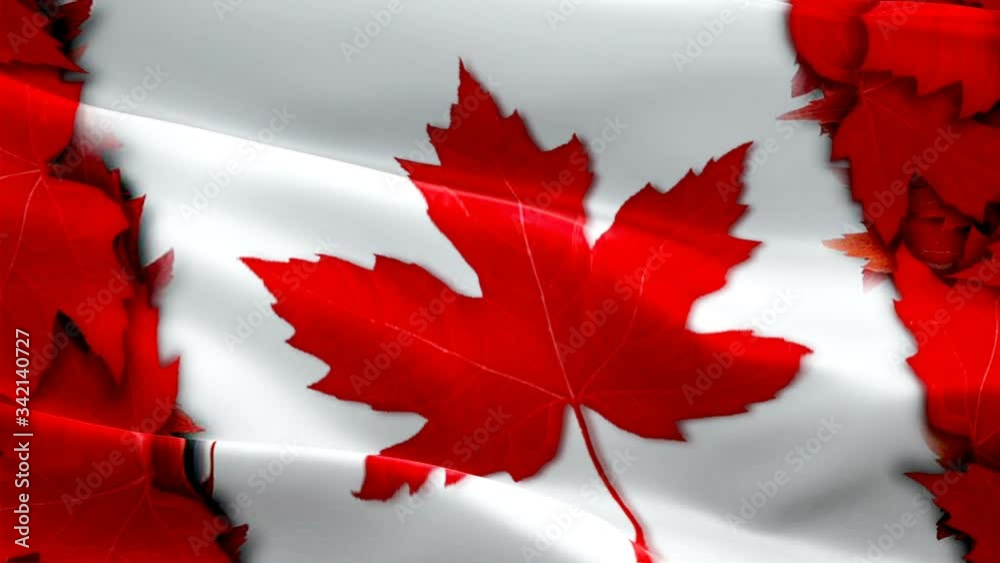 Canadian flag - Ottawa 1080p Full HD 1920X1080 footage video waving in ...