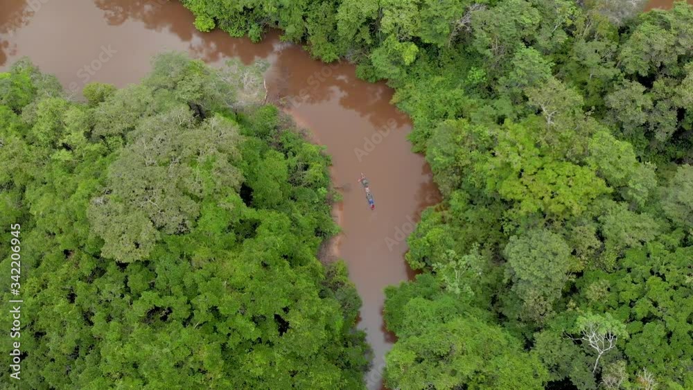 Canoe in the river, crossing the amazon rainforest jungle, wildlife ...