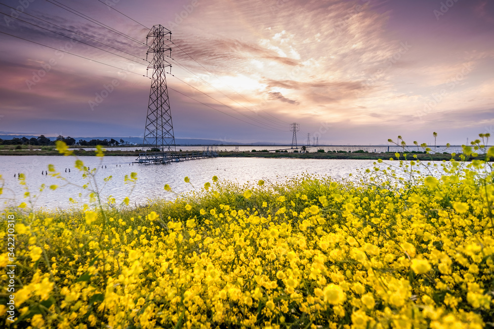 Sunset view of the ponds and waterways of South San Francisco Bay Area ...