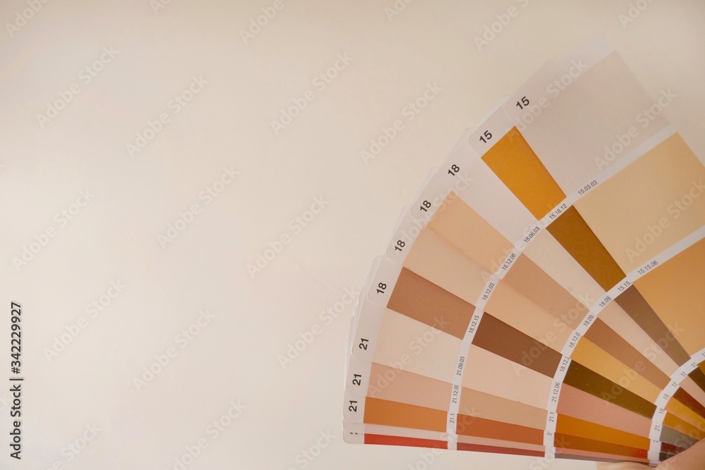 RAL sample colors catalogue on a beige background. palette of building ...
