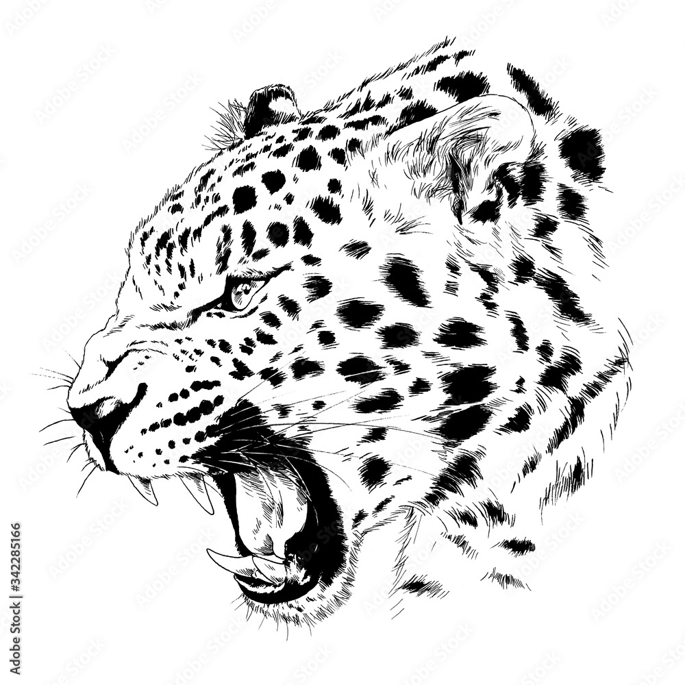 Snarling Backgrounds