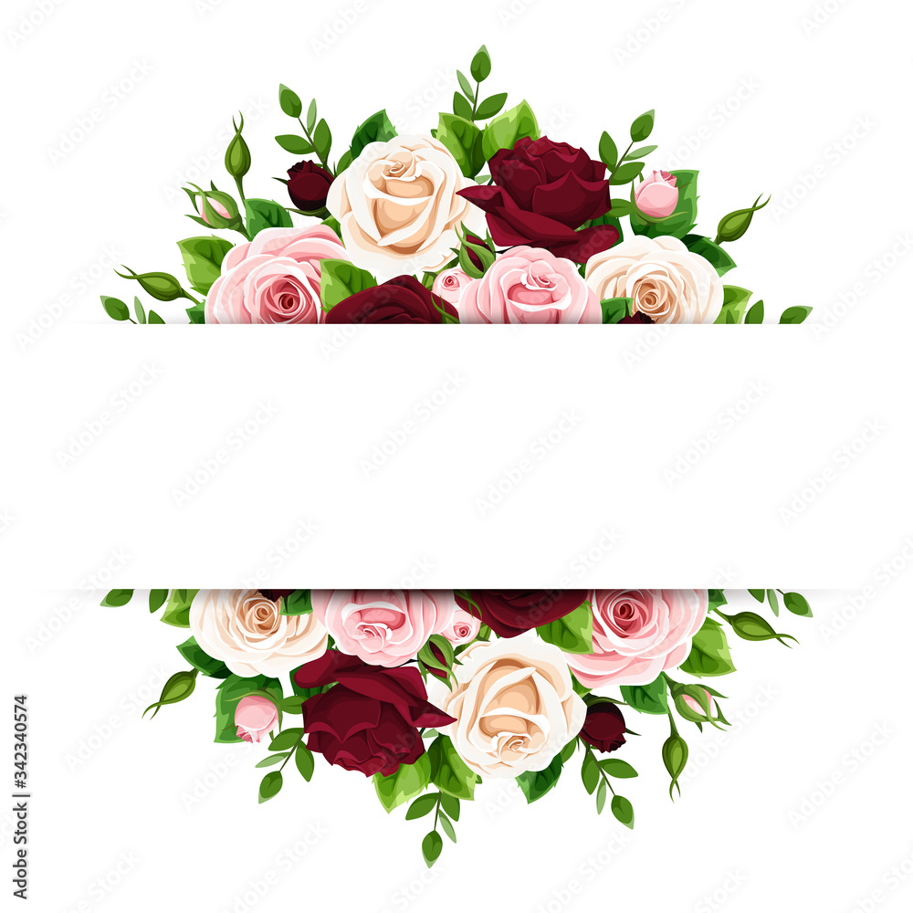 Vector banner with burgundy, pink and white roses on a white background ...
