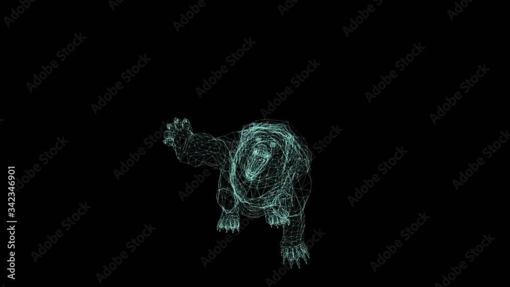 wire frame animation of bear attack on black background Stock Video ...