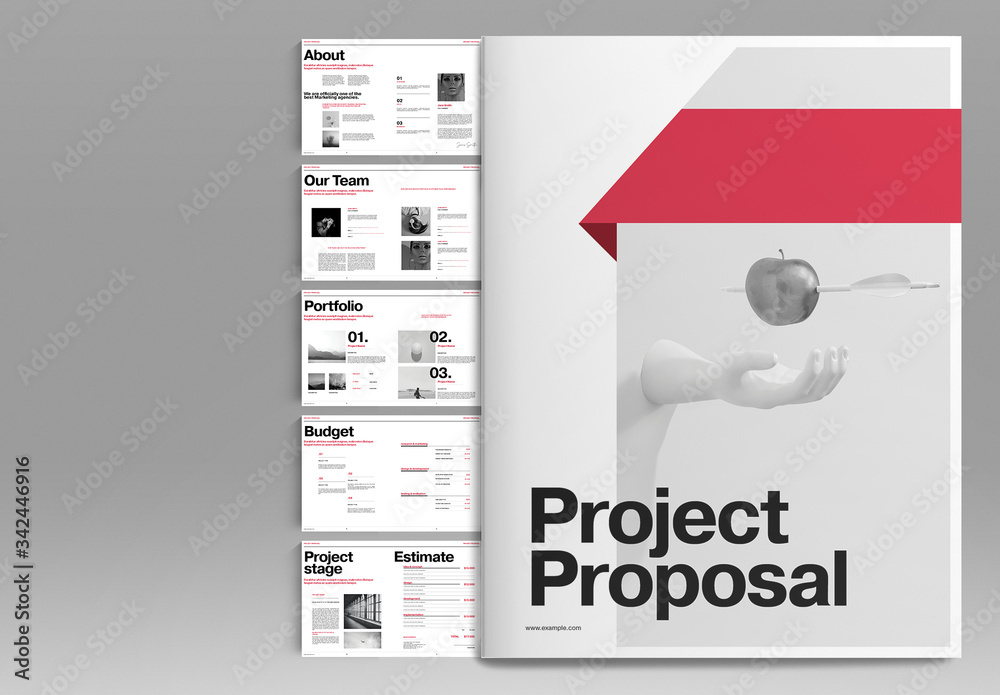 Project Proposal Layout Stock Template | Adobe Stock