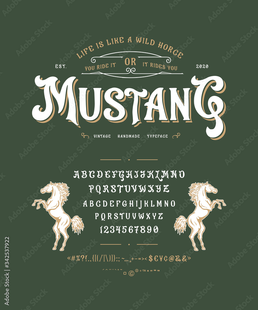 Font Mustang. Vintage typeface design Stock Vector | Adobe Stock