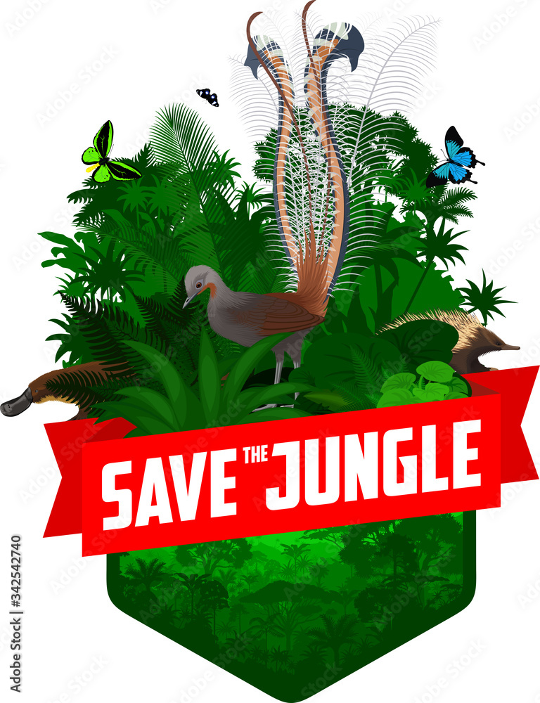 vector jungle rainforest emblem with platypus, Lyrebird, Echidna and ...