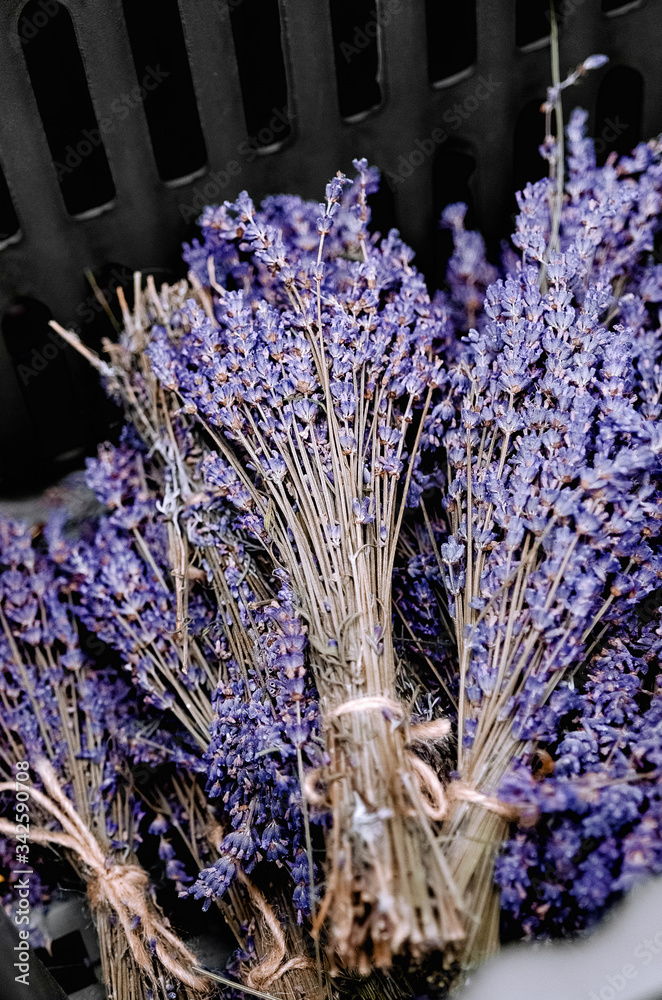 bouquets of lavender. fragrant and medicinal bouquets, beautifully ...