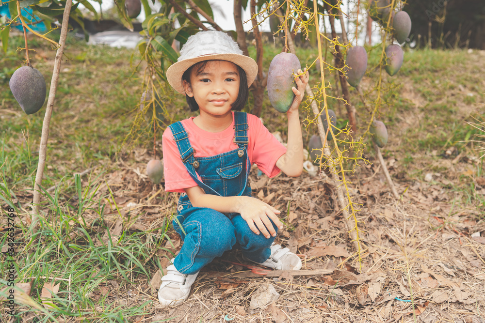 Kids holding mango fruit on tree in organic farm at home, happy Asian ...
