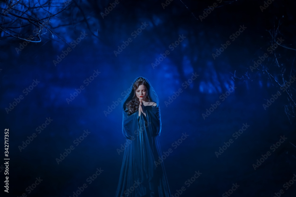 Art Mysterious woman ghost lady. blue dress cape hood. Fantasy queen ...