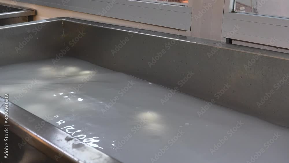 preparation of mozzarella in a dairy. mozzarella production: italian ...