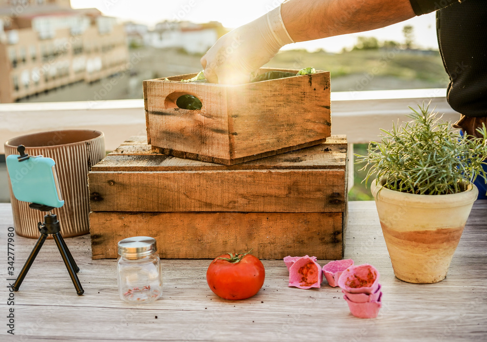 Young man plants tomato seeds and records a viedo - Influencer is ...