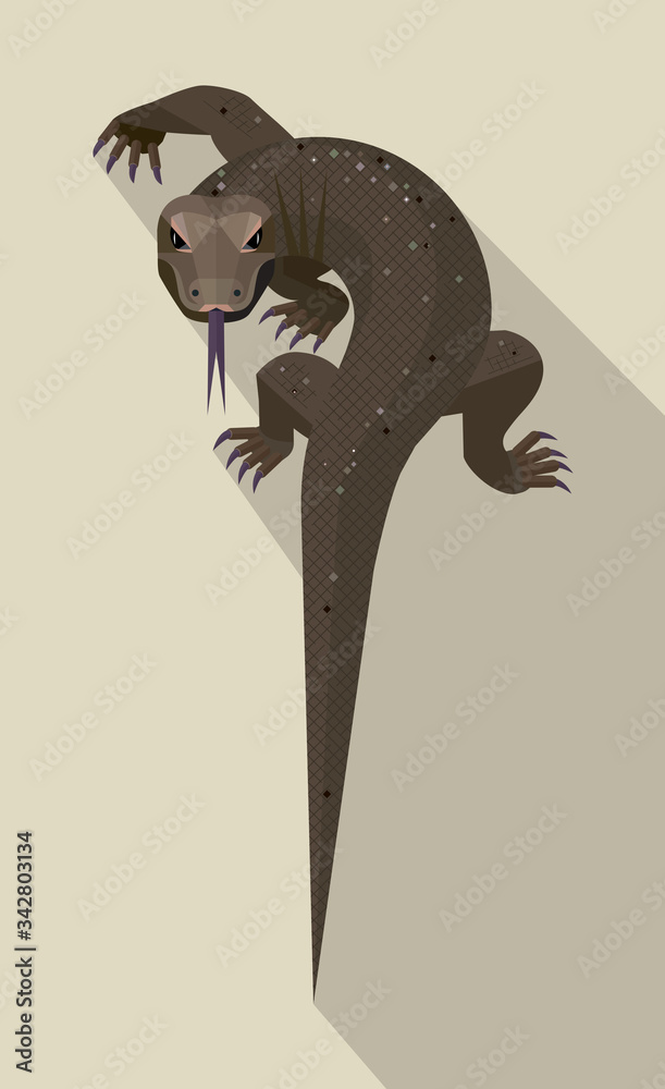 Poster Komodo dragon – Wall Art | UkPosters
