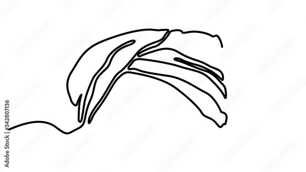 one line continuous drawing turban Stock Video | Adobe Stock