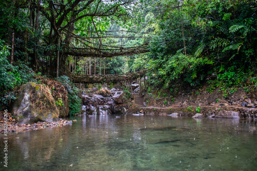 Foto de The well known signature double Decker living root bridges ...