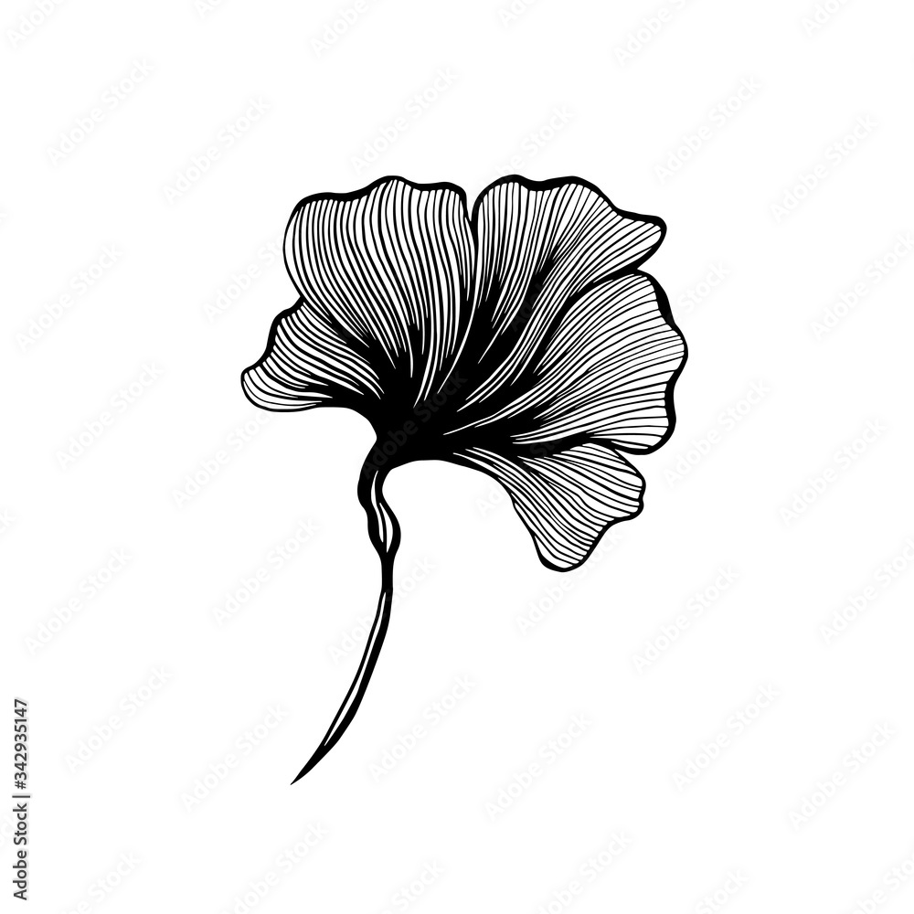 Ginkgo leaf ink line art design, vector isolated design element with ...